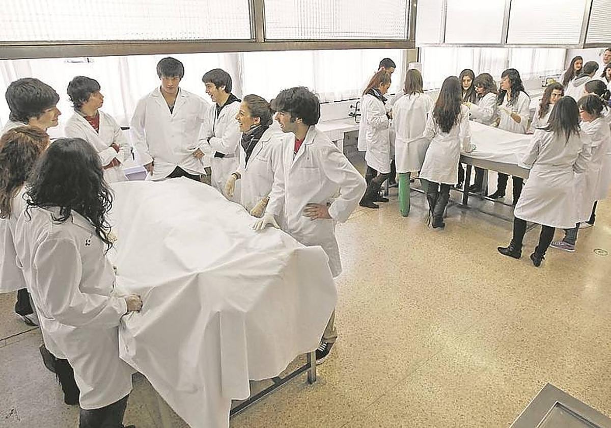La UPV recibe unos 20 cadáveres al año aptos para ser estudiados | El Diario Vasco